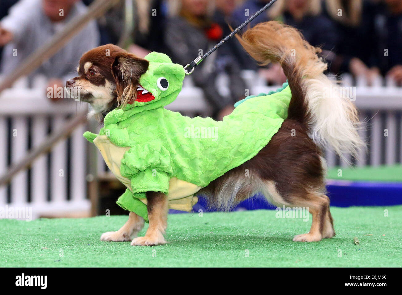 Hackett menswear hi-res stock photography and images - Alamy