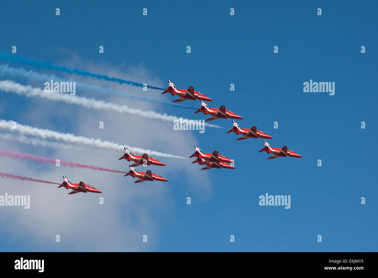 Swan goose cross hi-res stock photography and images - Alamy