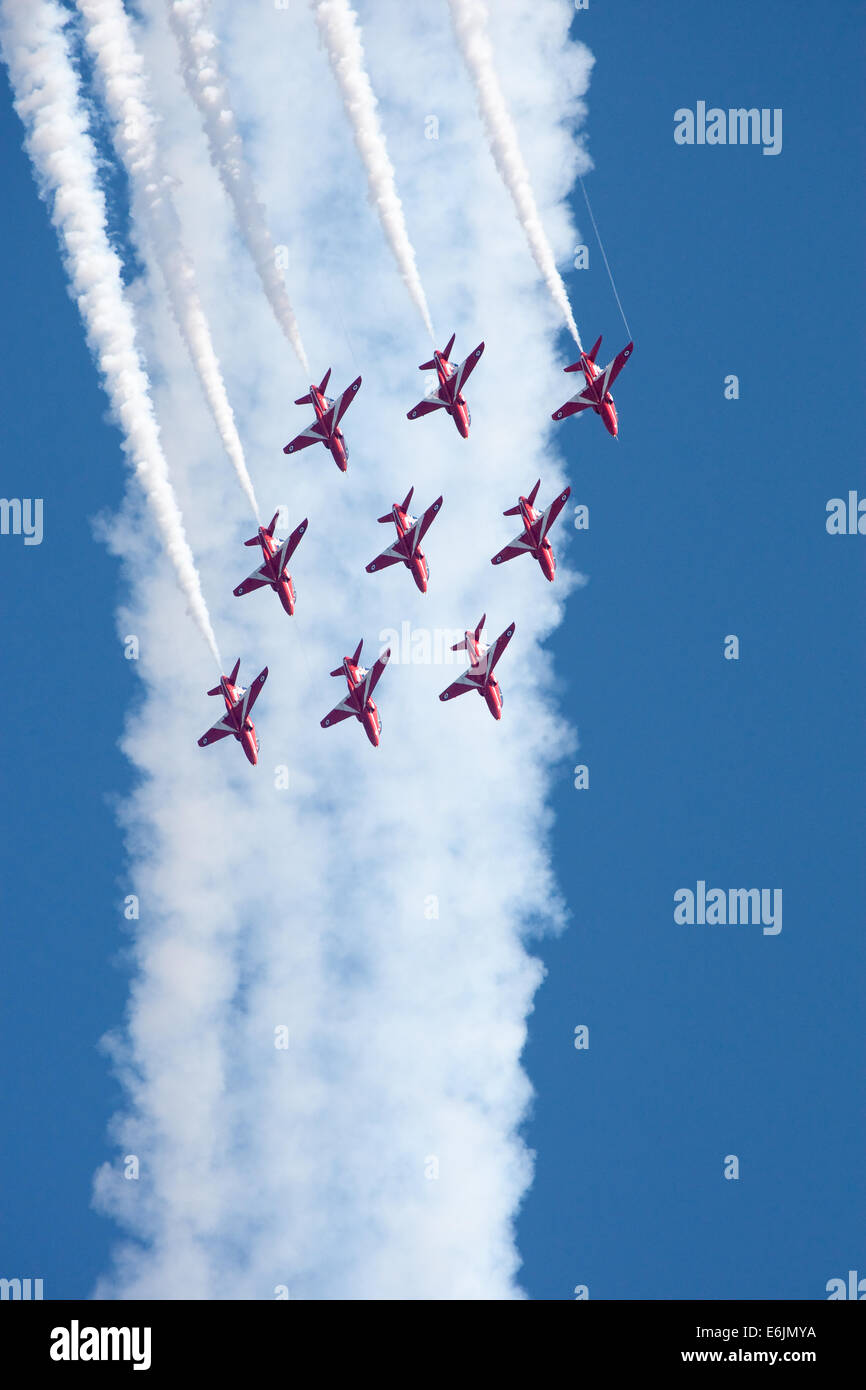 Swan goose cross hi-res stock photography and images - Alamy