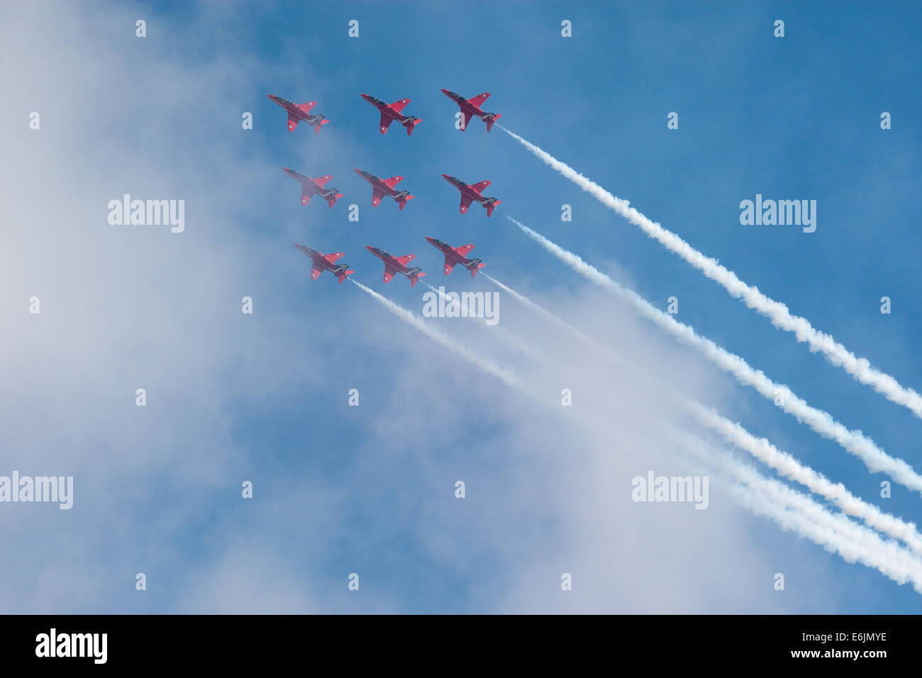 Swan goose cross hi-res stock photography and images - Alamy