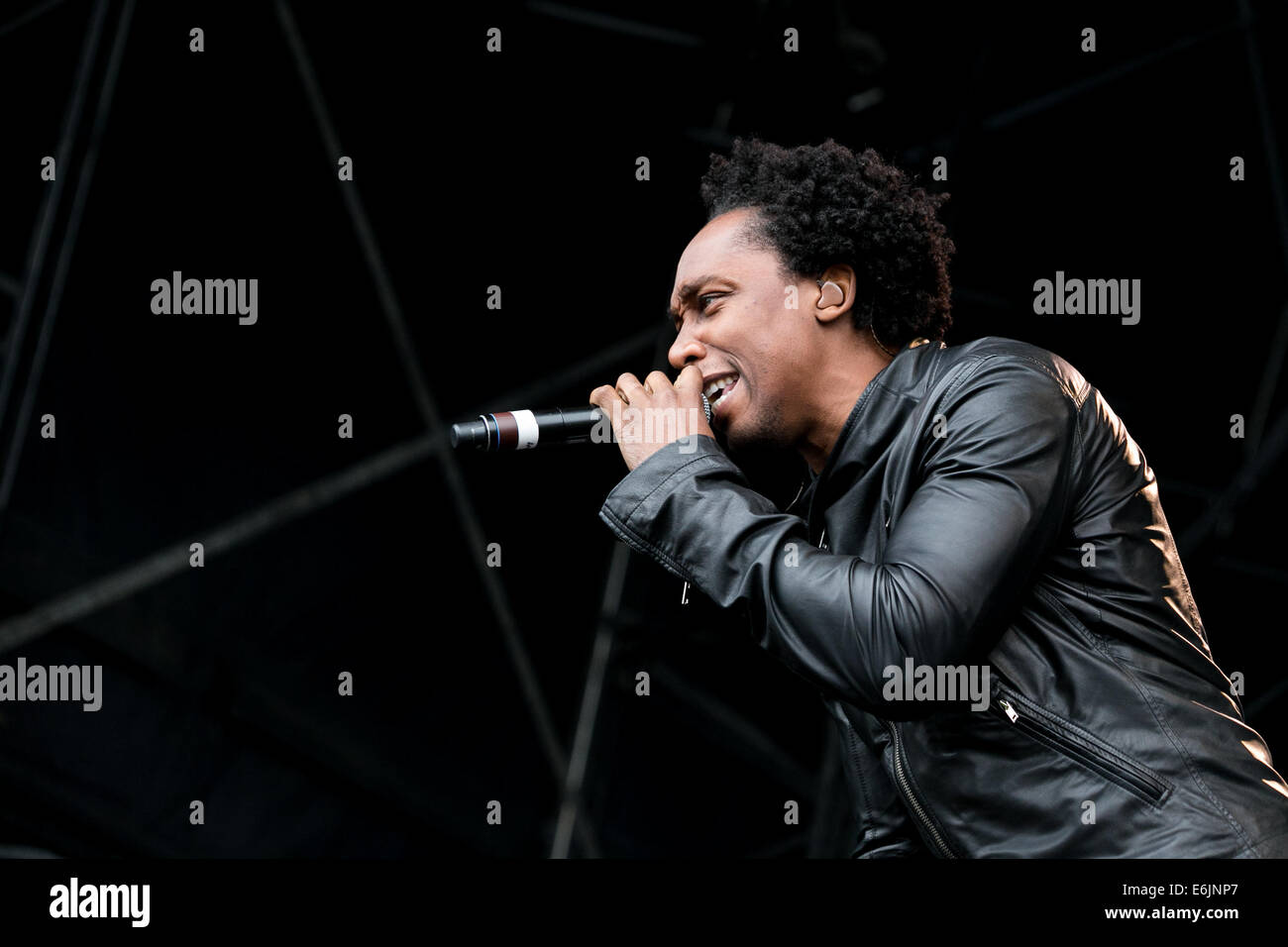 Limf hi-res stock photography and images - Alamy