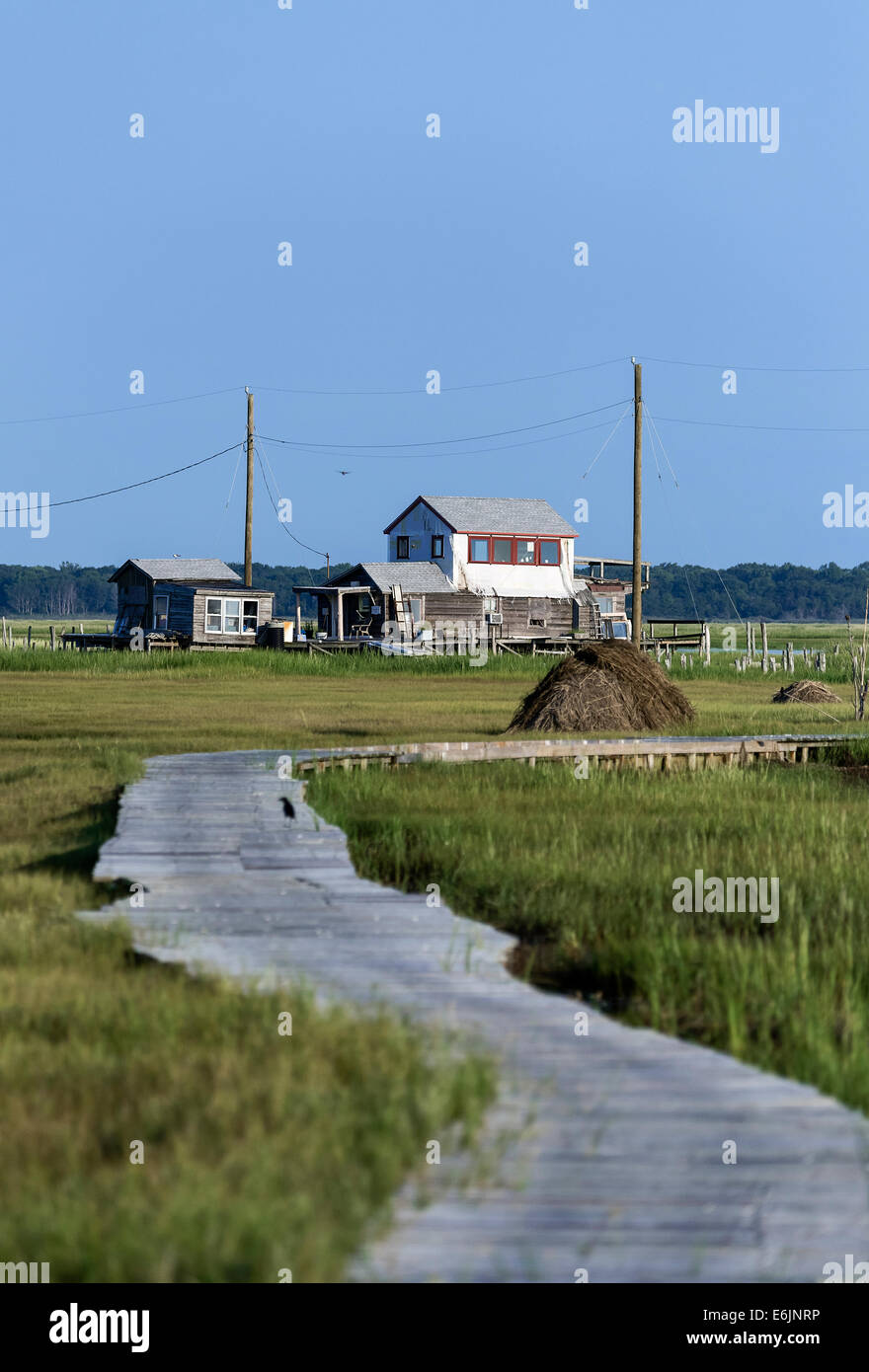 Rustic salt marsh bay shack, Wildwood, NJ, USA Stock Photo - Alamy