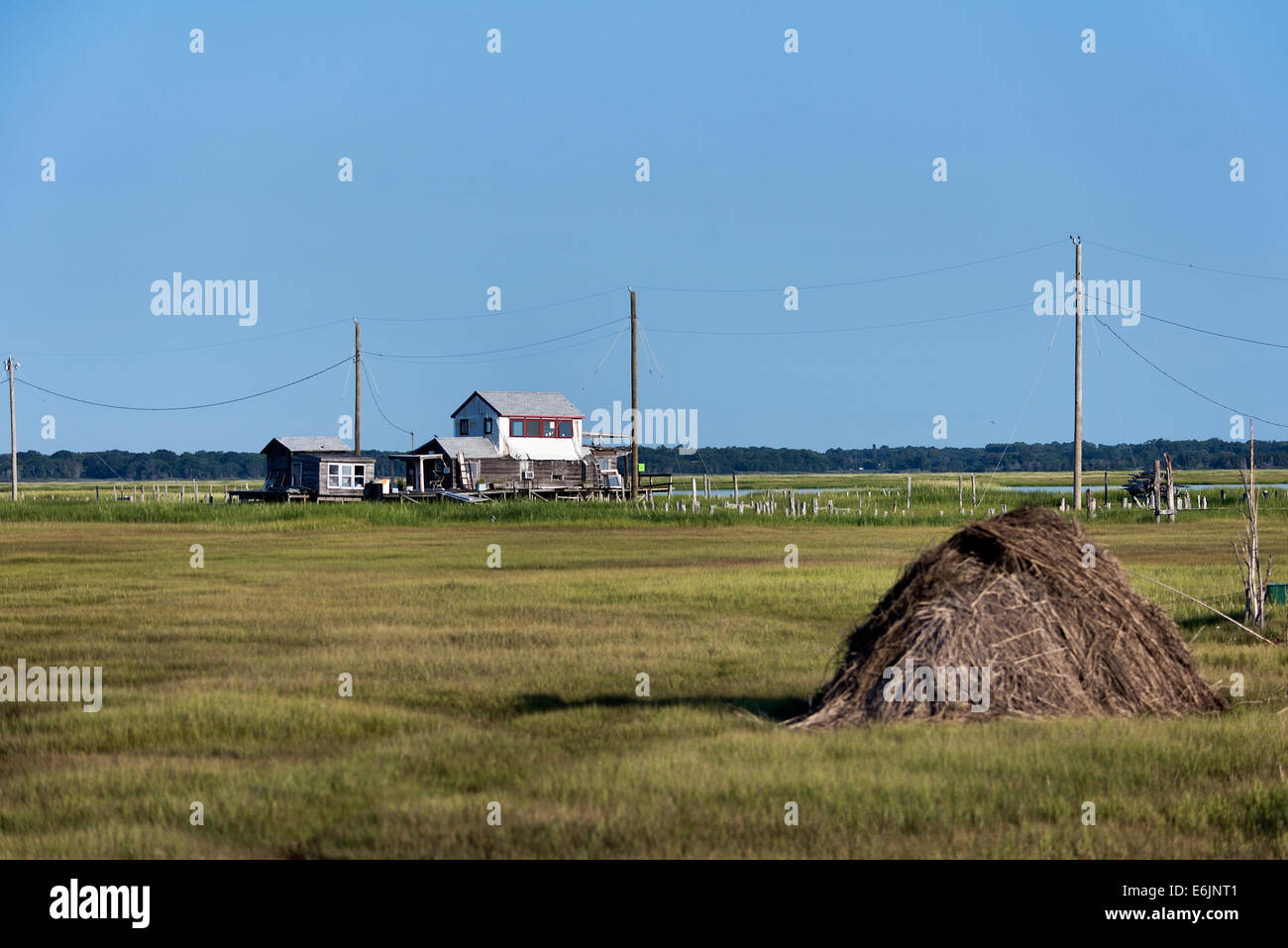 Rustic salt marsh bay shack, Wildwood, NJ, USA Stock Photo - Alamy