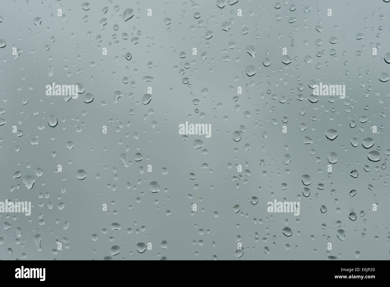 Trapped inside on a windy bleak rainy day in autumn winter spring ...