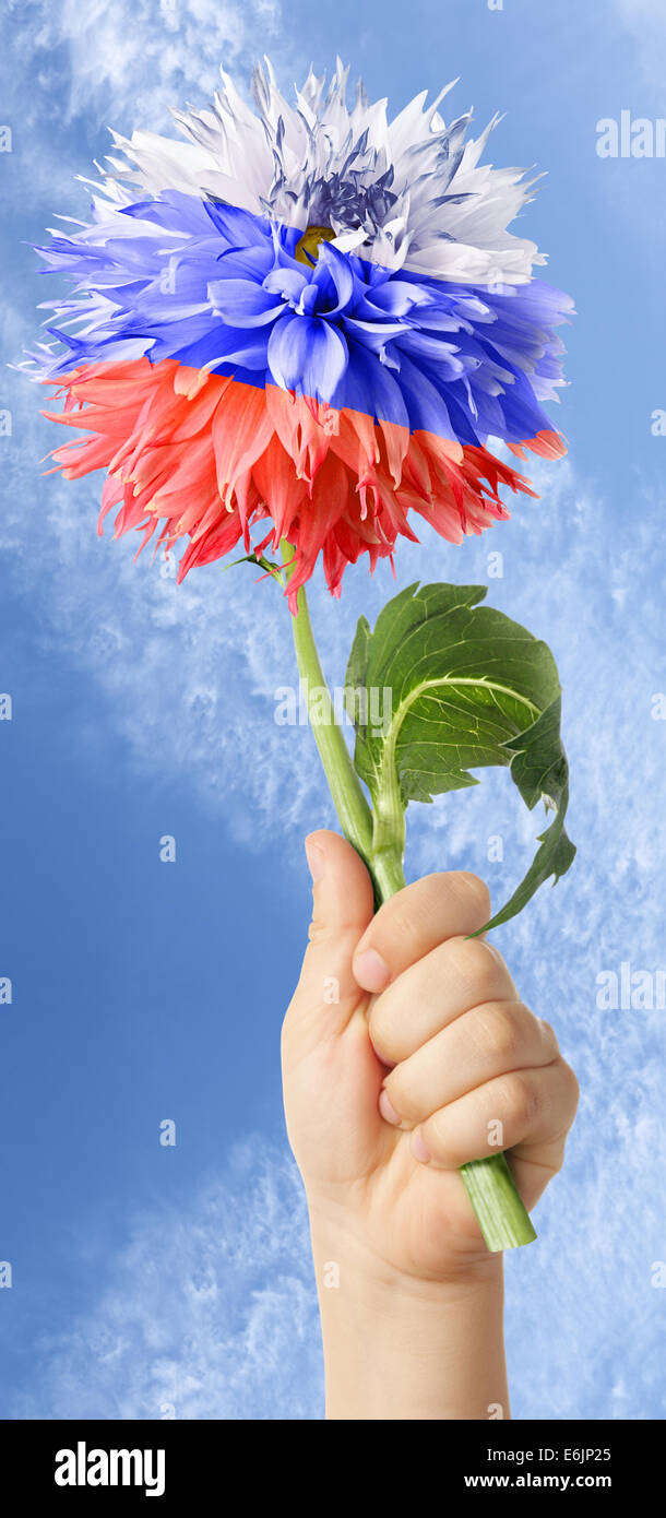 Child's hand with Russia flag on the order of flower on background of ...