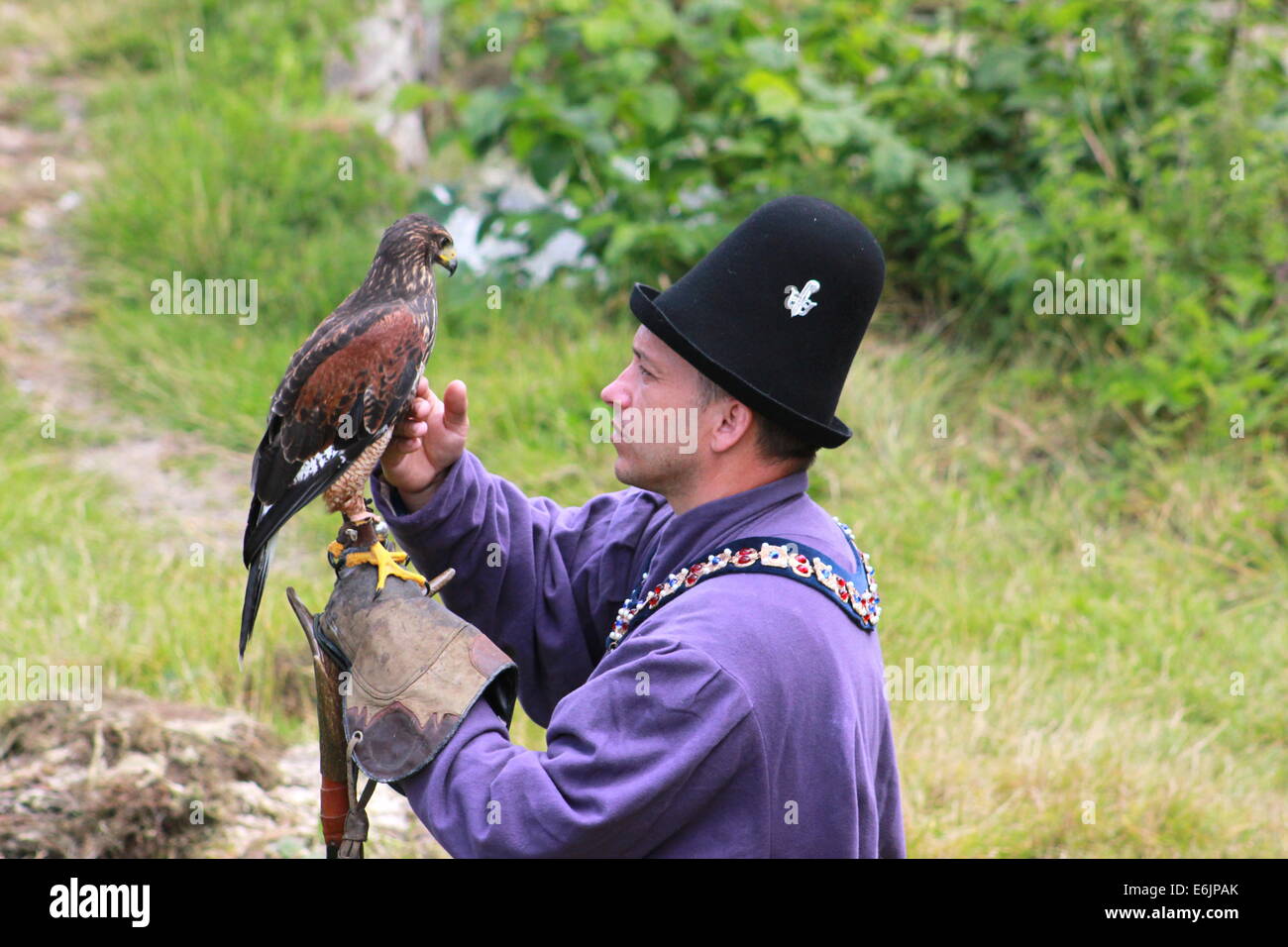 Medieval falconry hi-res stock photography and images - Alamy