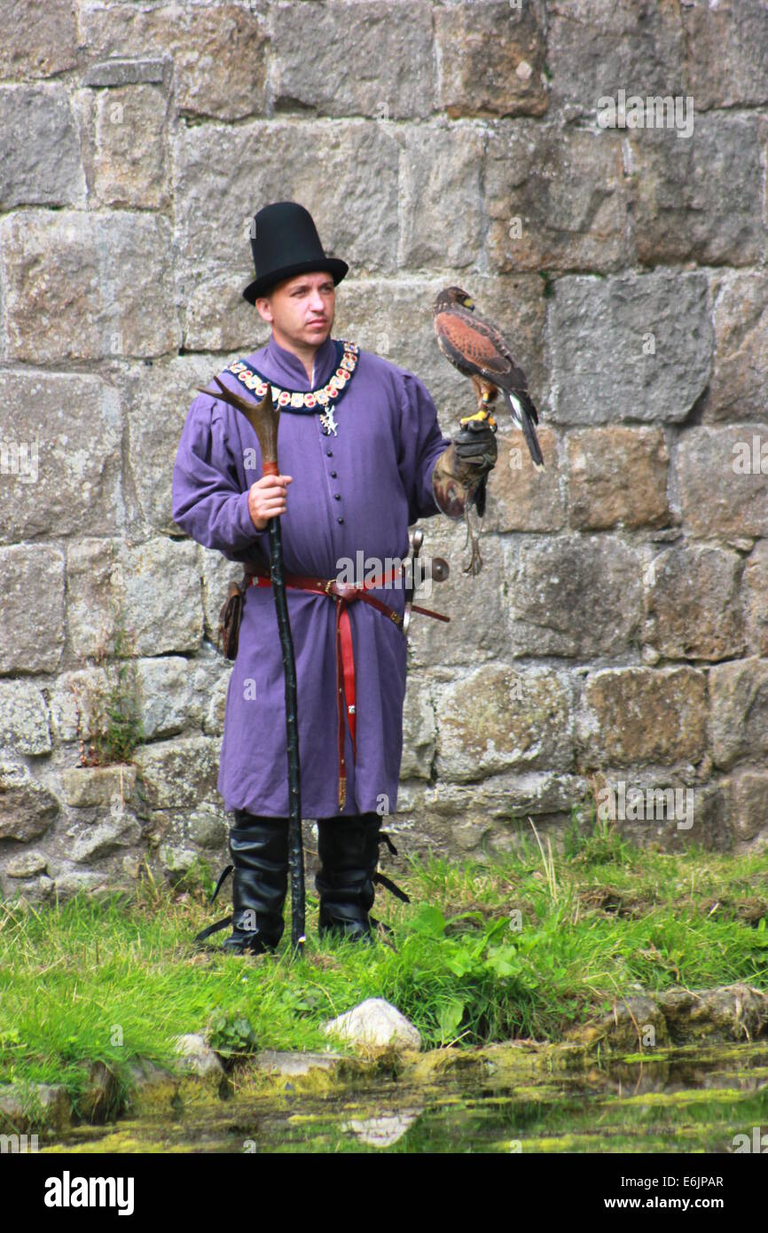 Medieval falconry hi-res stock photography and images - Alamy