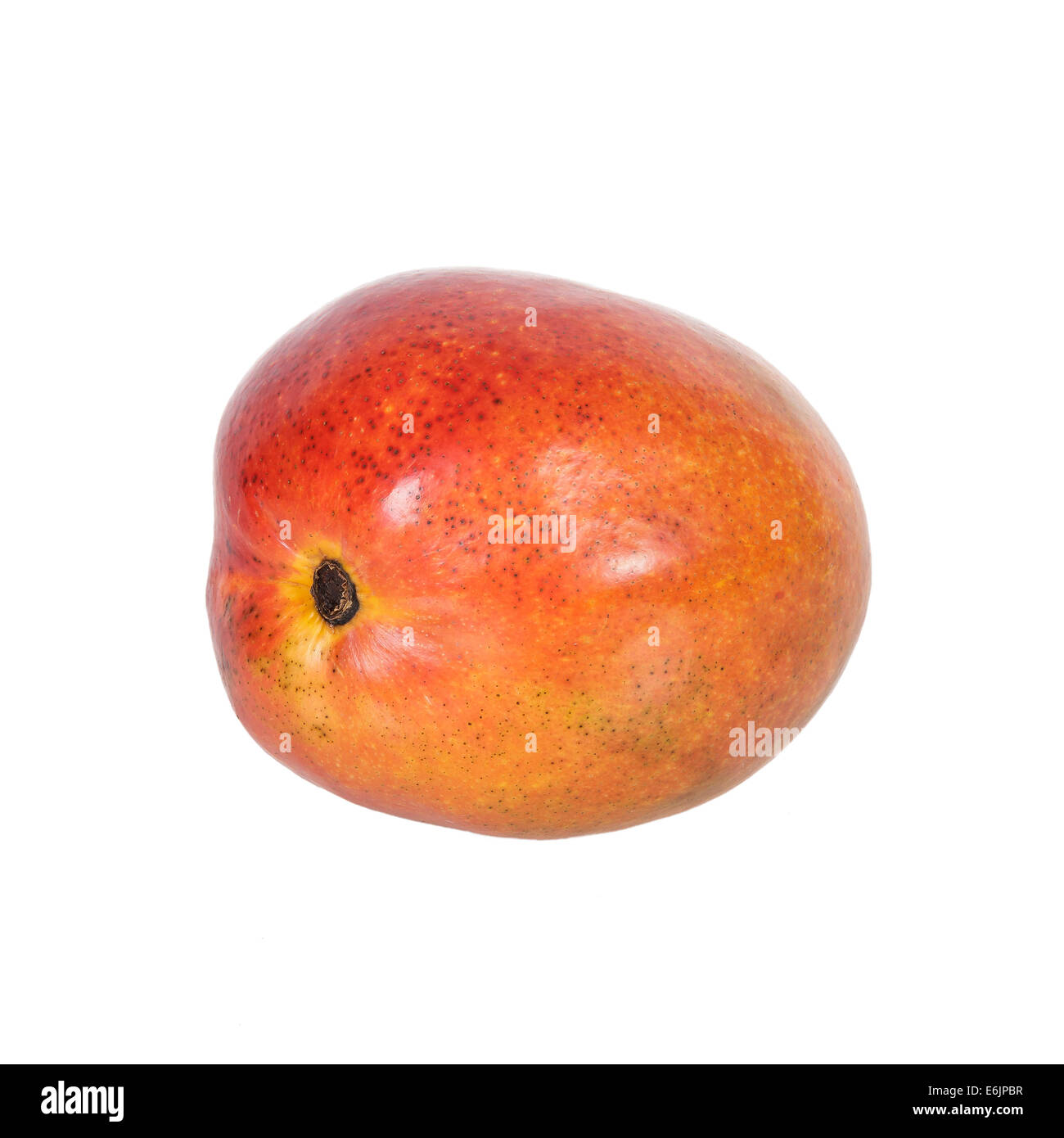 one mango on a white background Stock Photo - Alamy