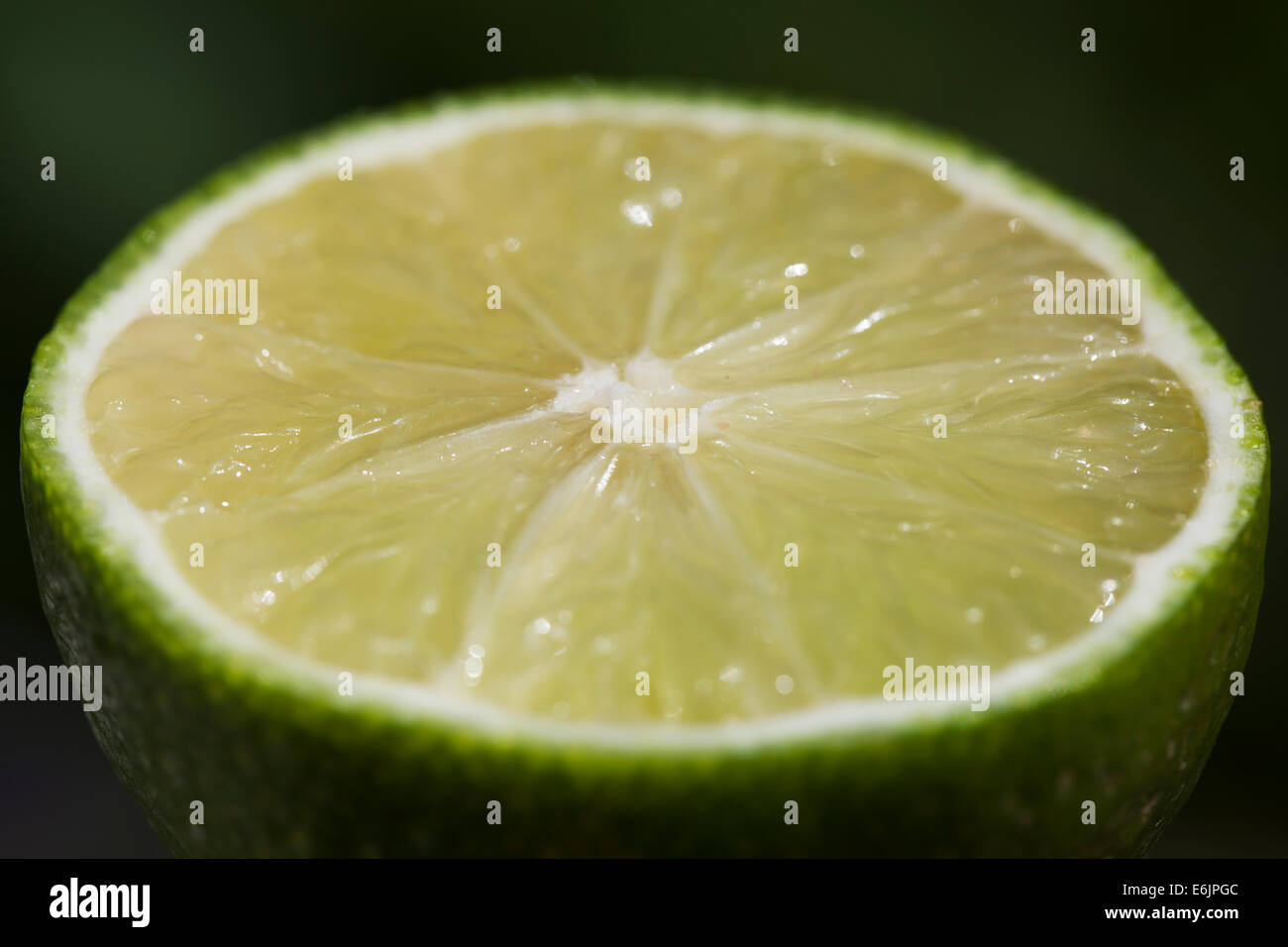 Lime cross section hi-res stock photography and images - Alamy