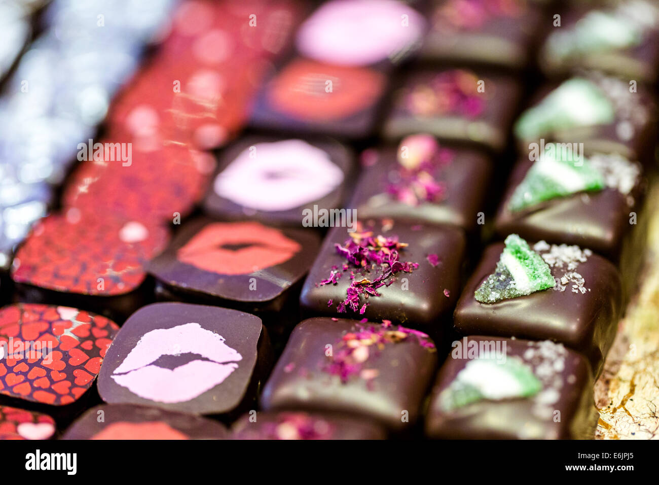 Variety of gormet truffles in a row for display Stock Photo - Alamy