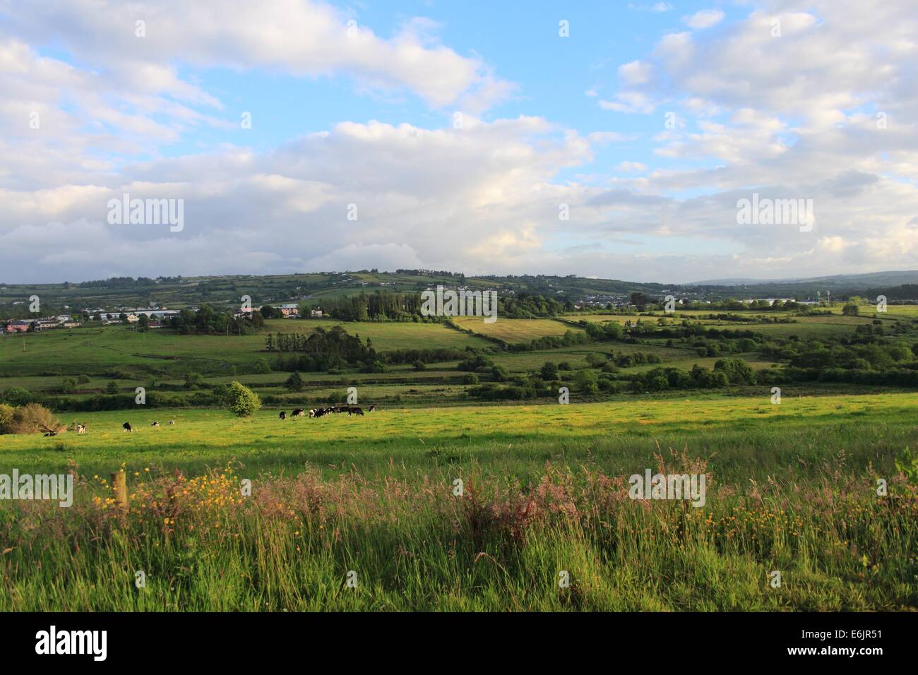 Irish green landscape hi-res stock photography and images - Alamy