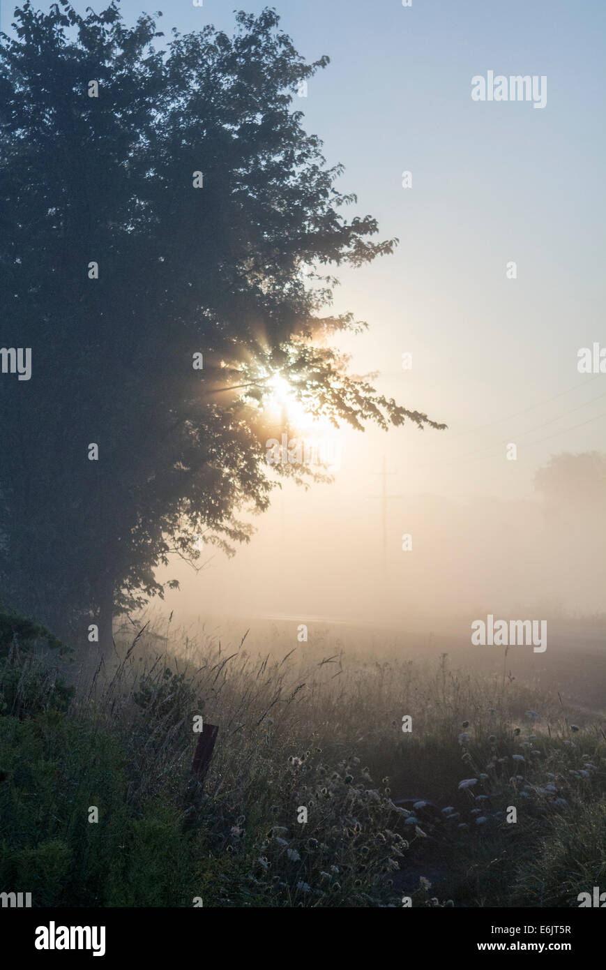 Sun rising hi-res stock photography and images - Alamy