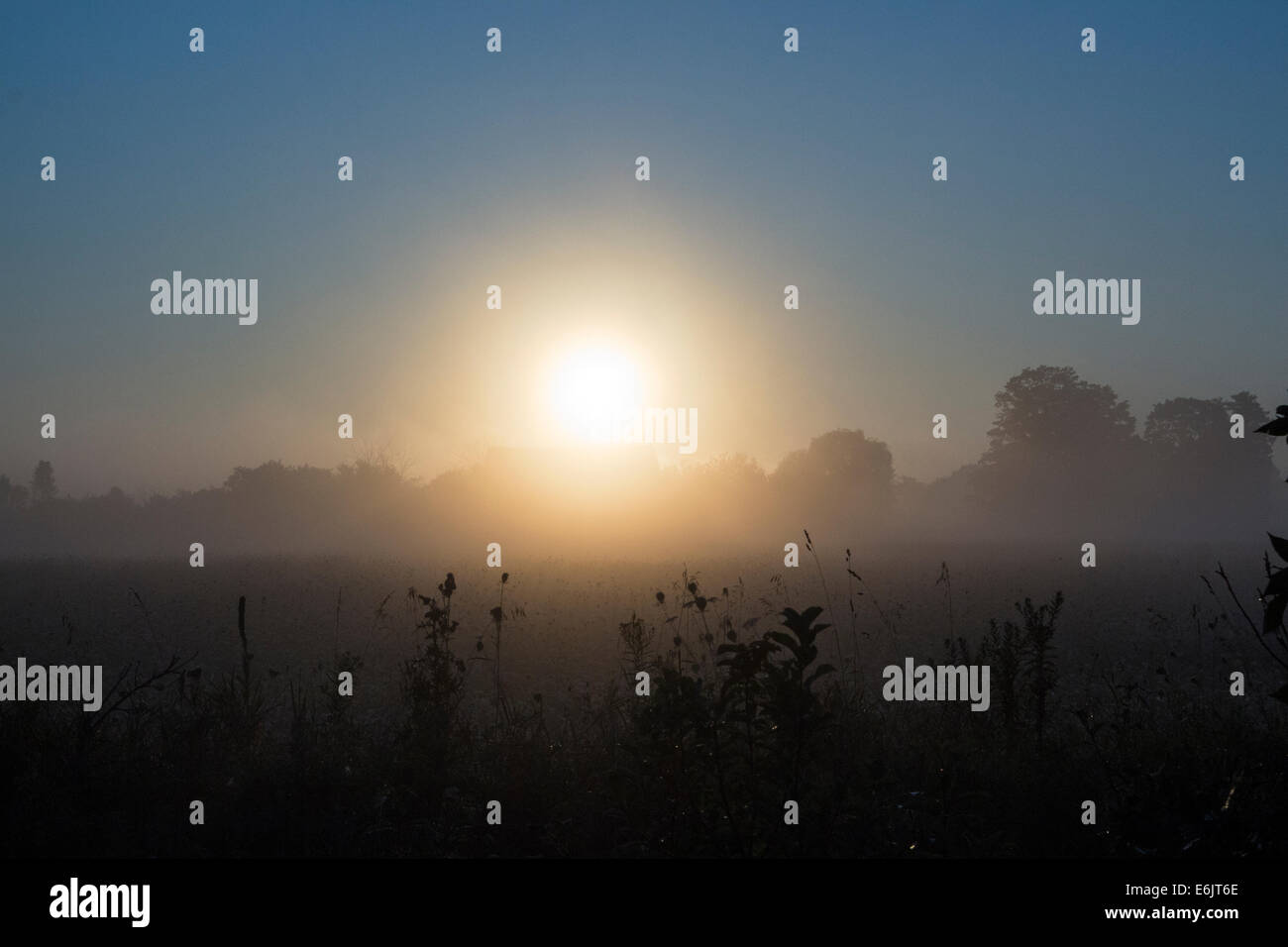 Burning summer sun hi-res stock photography and images - Alamy