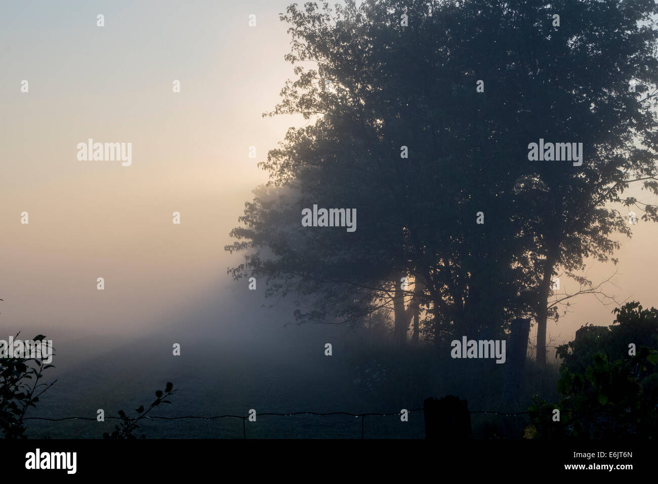 Early morning sunrise over a farm with the sun streaming out behind a ...