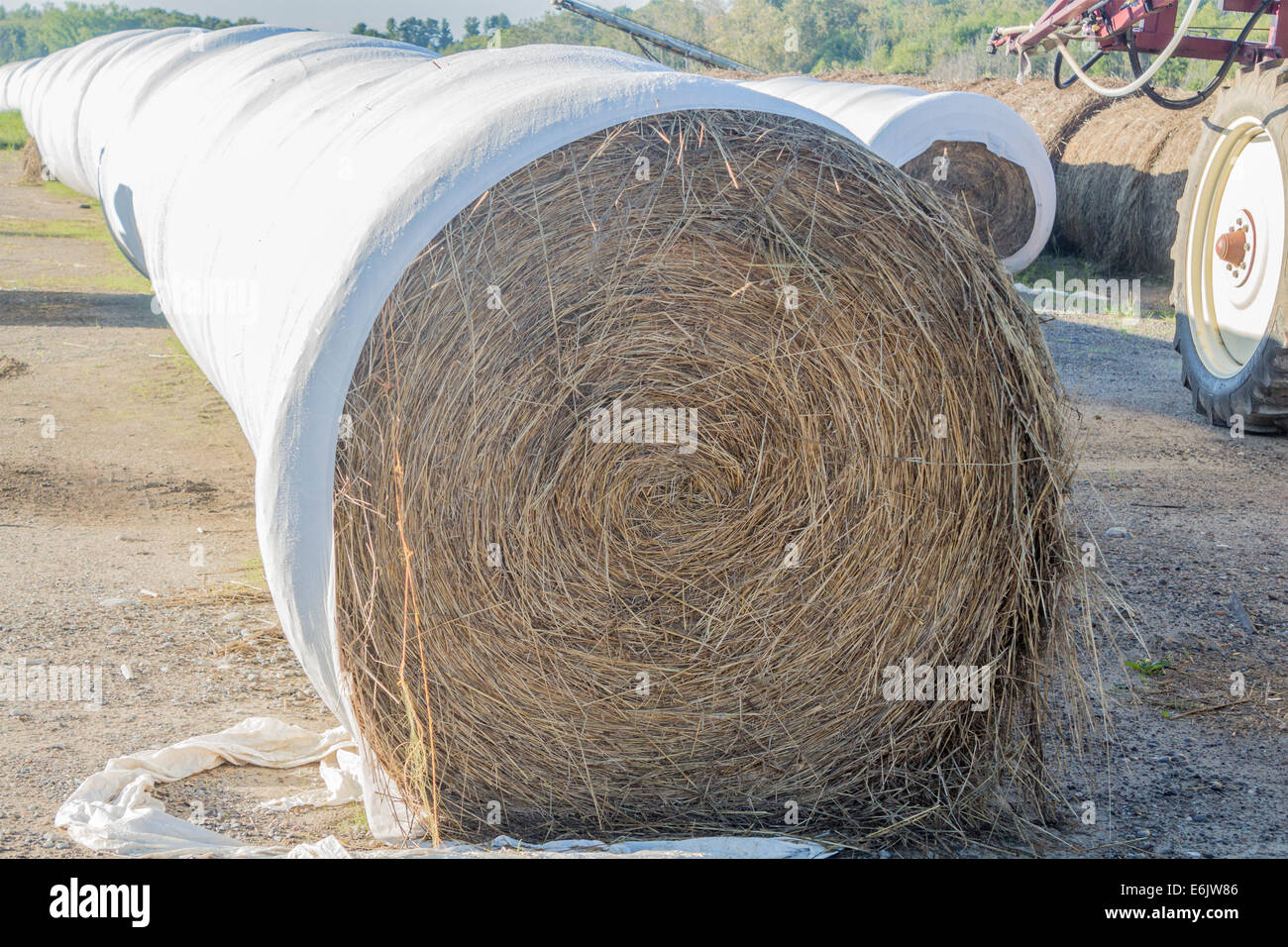 Bale hay wrapped in plastic hi-res stock photography and images - Alamy
