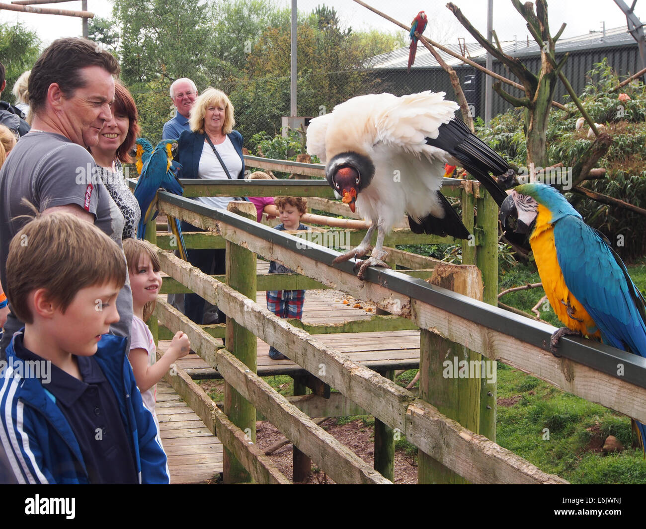 Parrot enclosure hi-res stock photography and images - Alamy