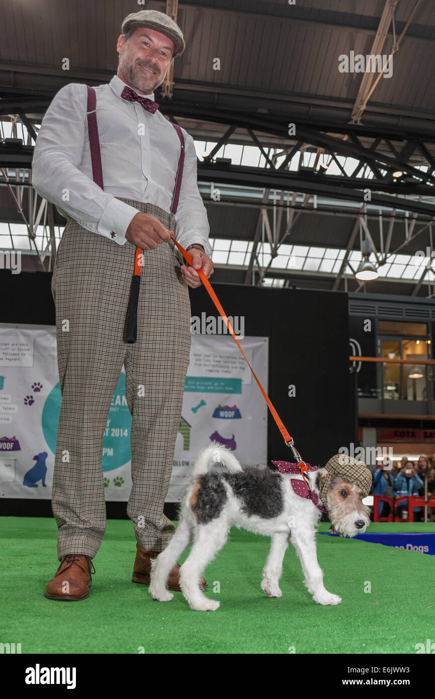 The canine sherlock holmes hi-res stock photography and images - Alamy