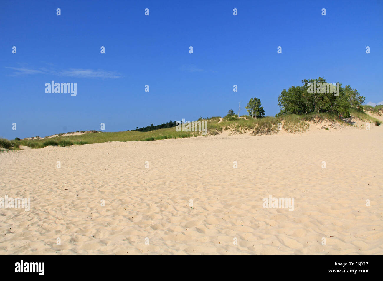 Sand dunes in Ludington State Park on the shore of Lake Michigan in ...