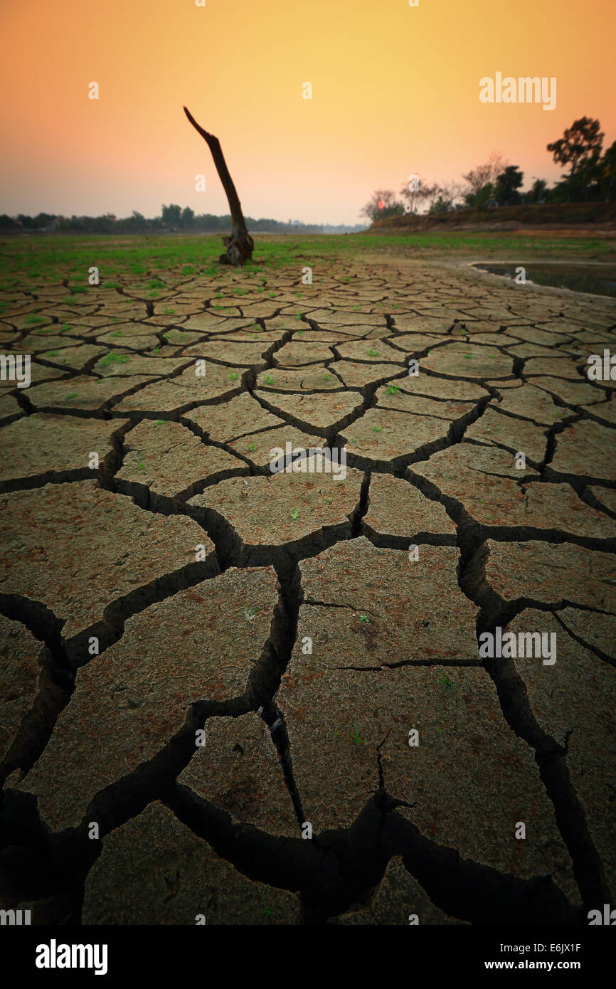 Dry soil texture on the ground Stock Photo - Alamy
