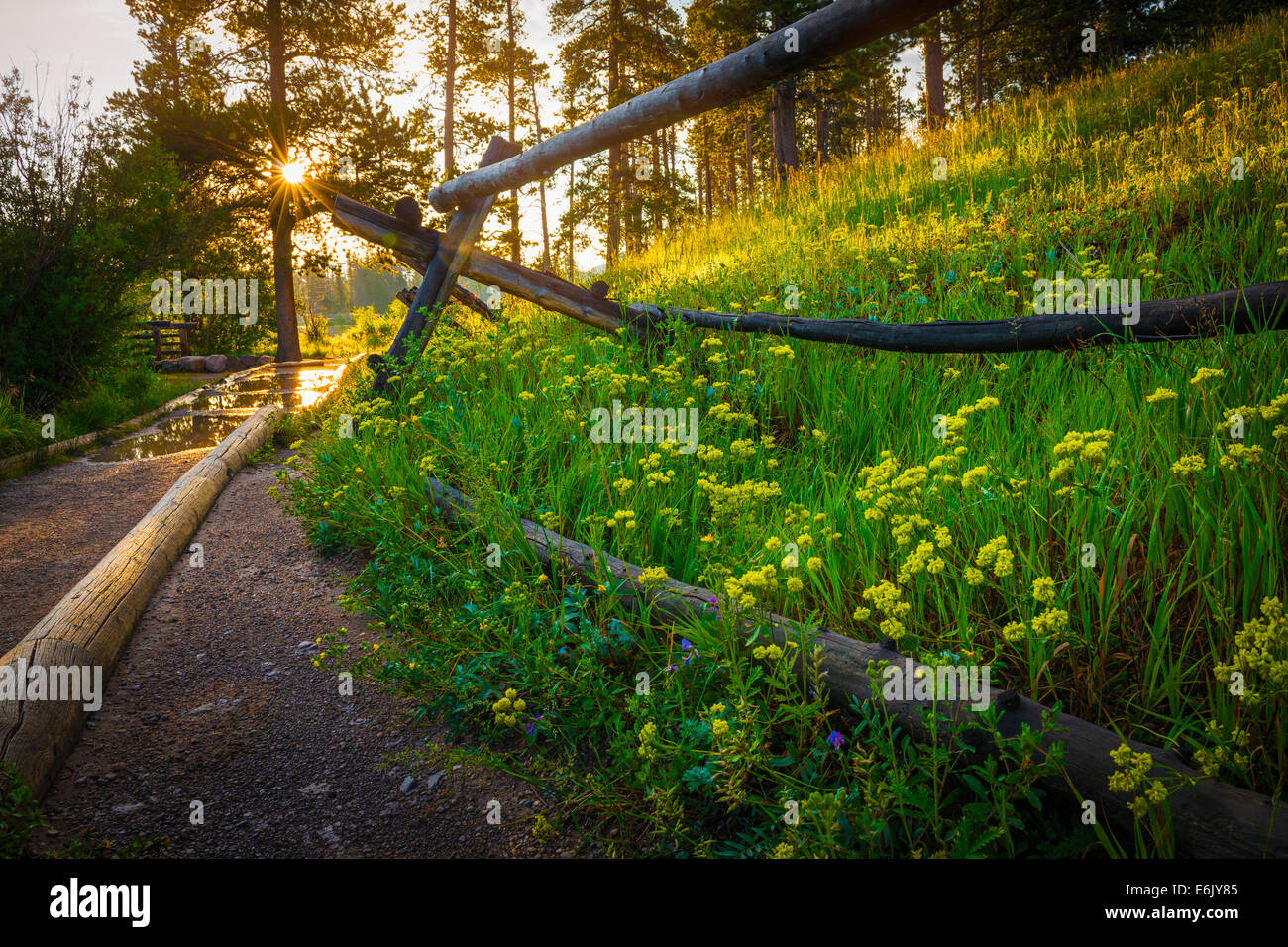 Golden morning sunshine hi-res stock photography and images - Alamy
