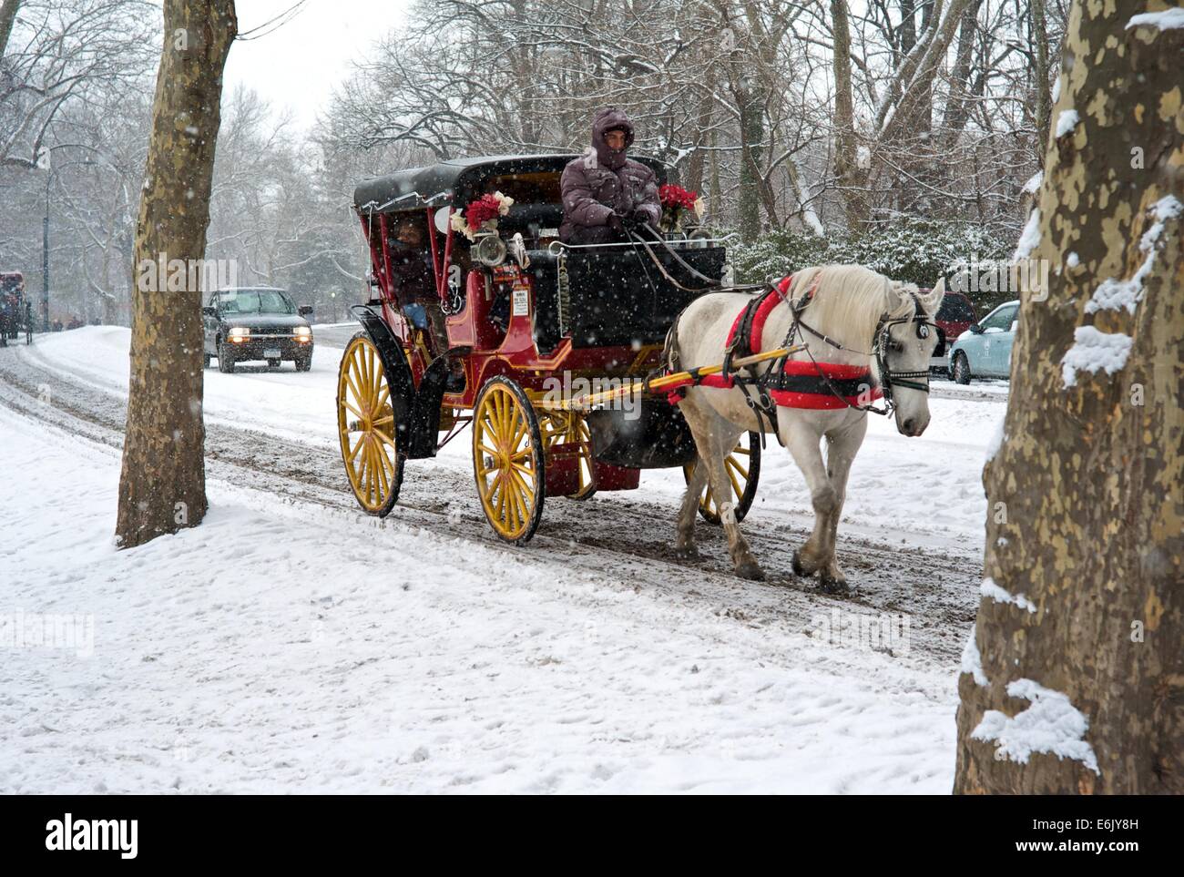 Horse Drawn Carriage In Snow