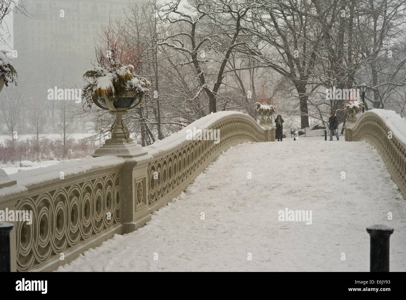 Snow blizzard in Central Park. Manhattan. New York City Stock Photo - Alamy