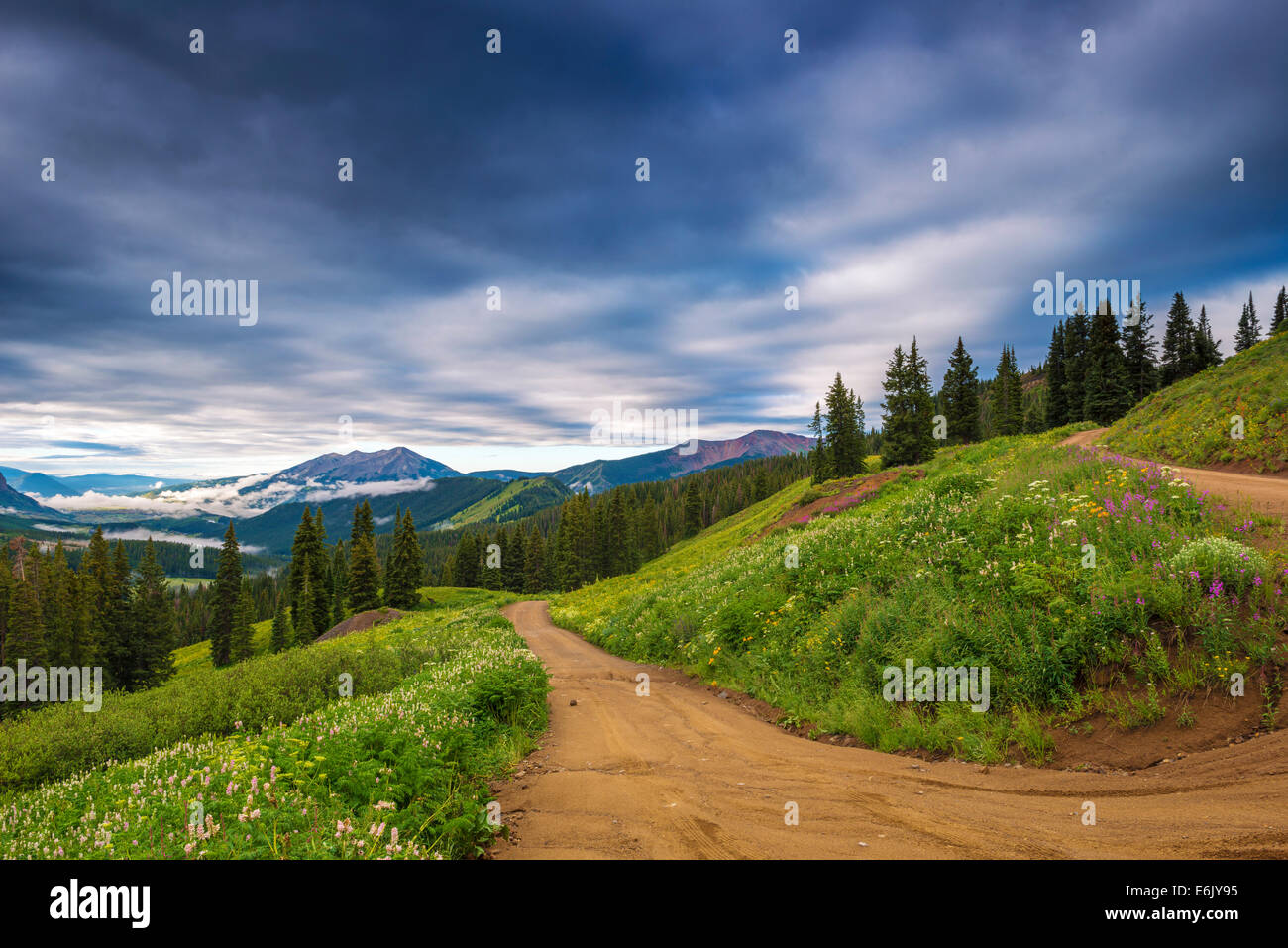 Wildflower mountain landscape hi-res stock photography and images - Alamy