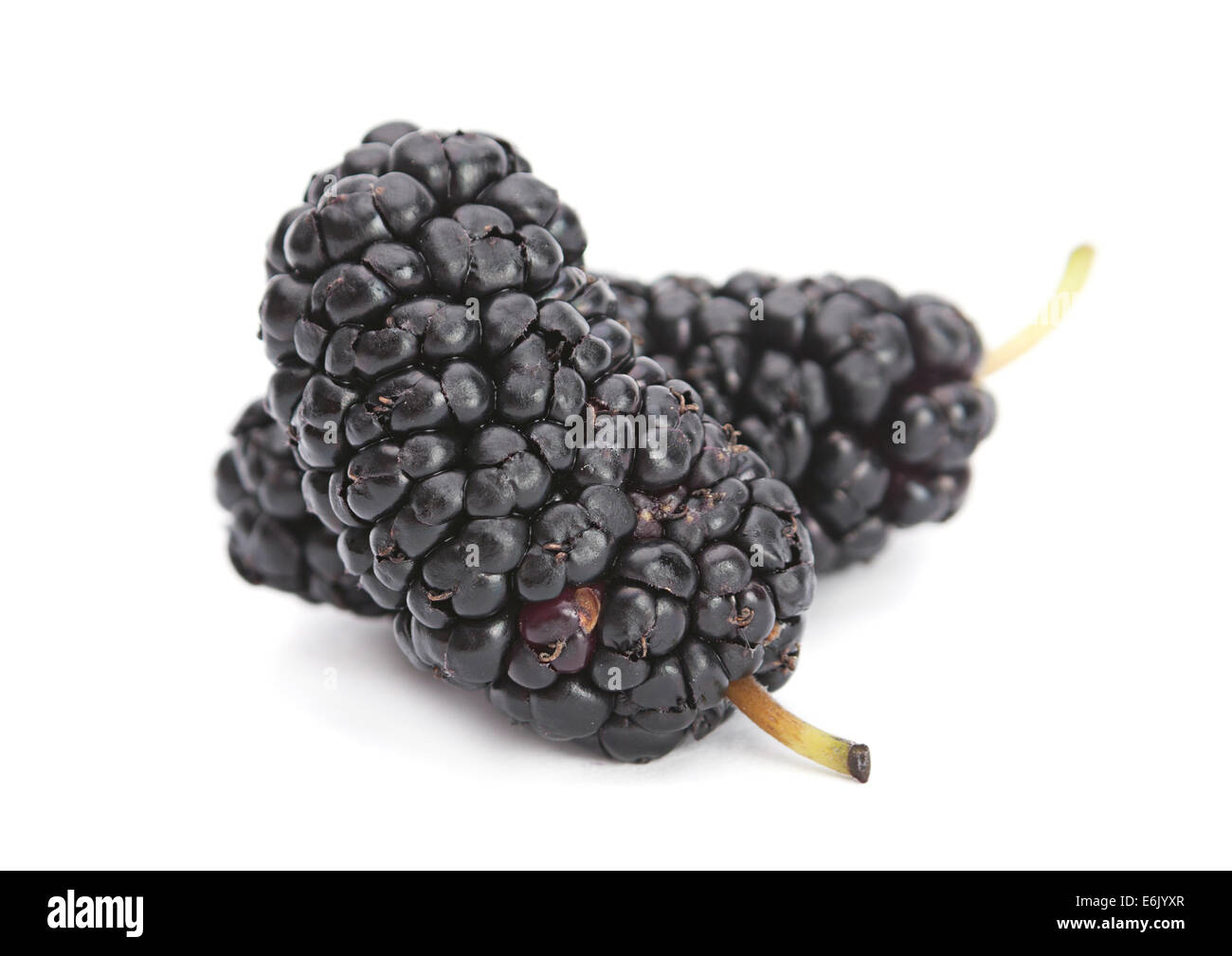 Black mulberry fruit hi-res stock photography and images - Alamy