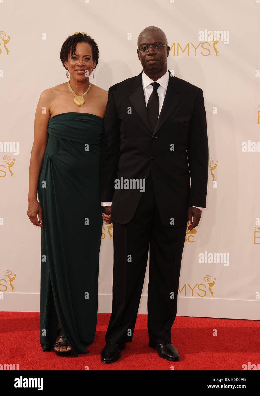 Los Angeles, California, USA. 25th Aug, 2014. Andre Braugher attending ...
