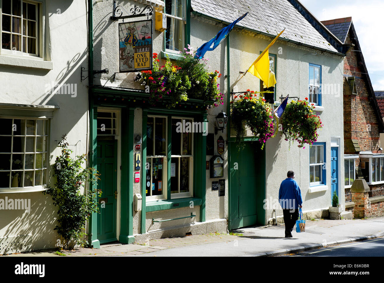 One eyed rat hi-res stock photography and images - Alamy