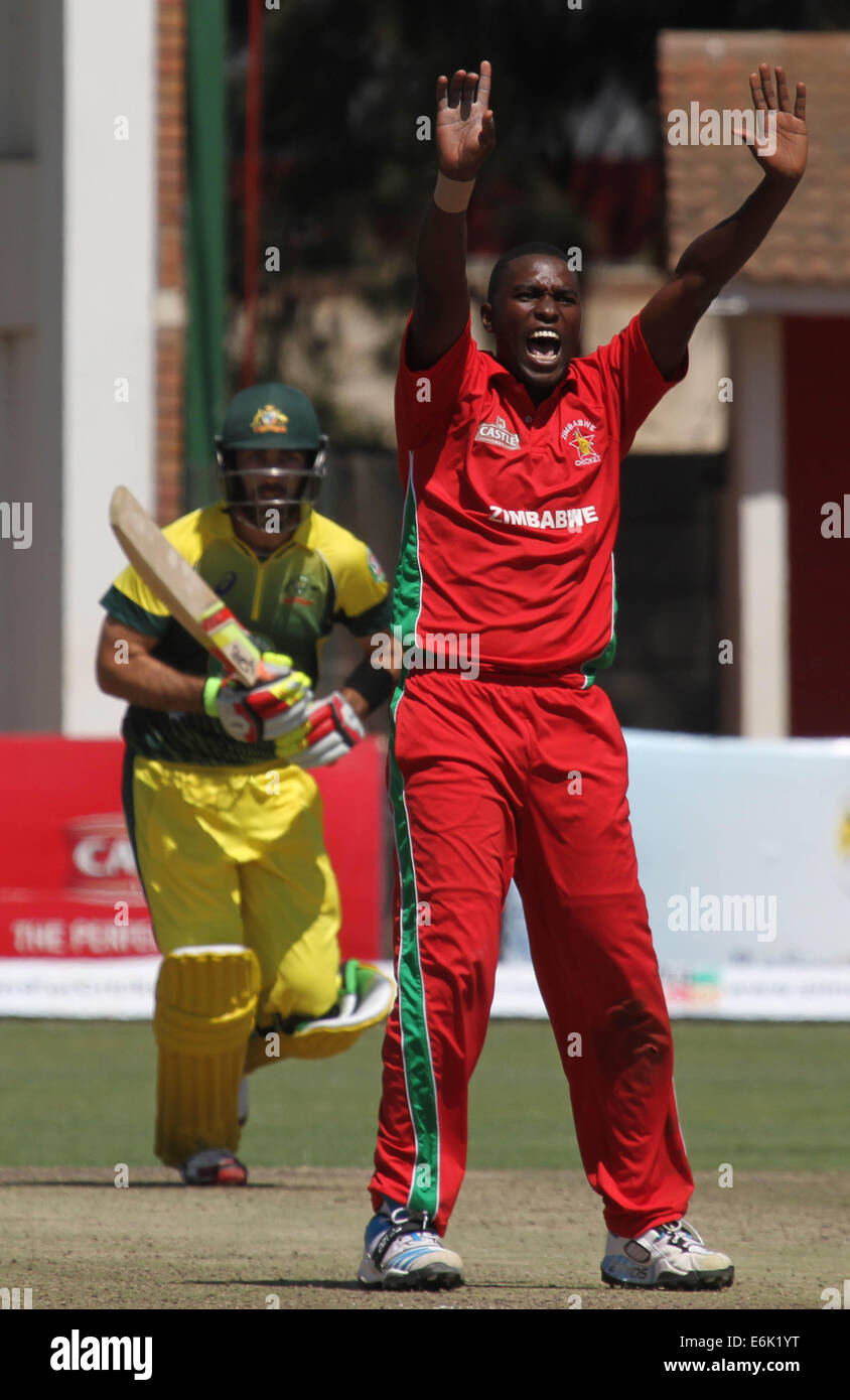 Glenn maxwell hi-res stock photography and images - Alamy