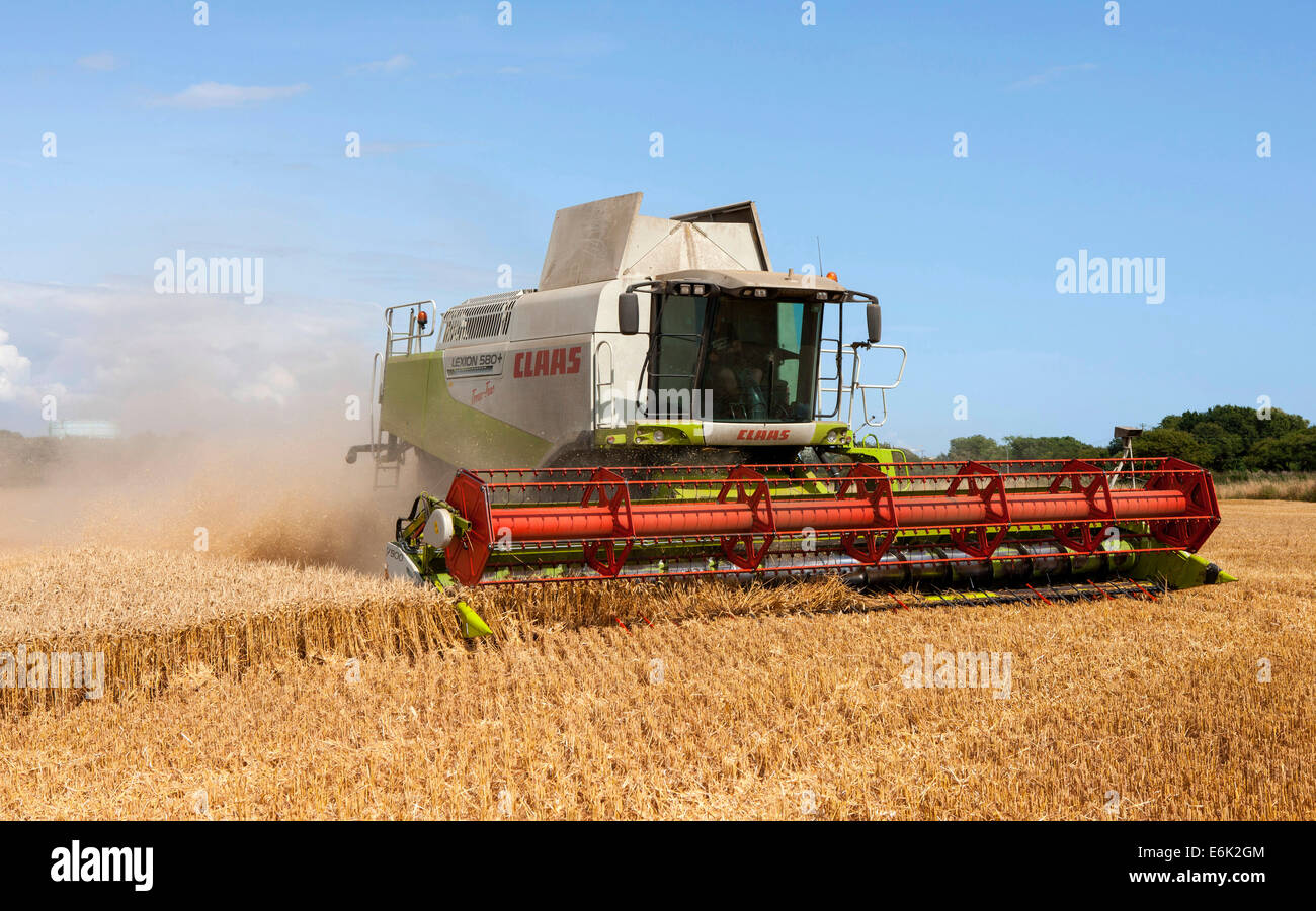 Combine Harvester harvesting a field Stock Photo - Alamy