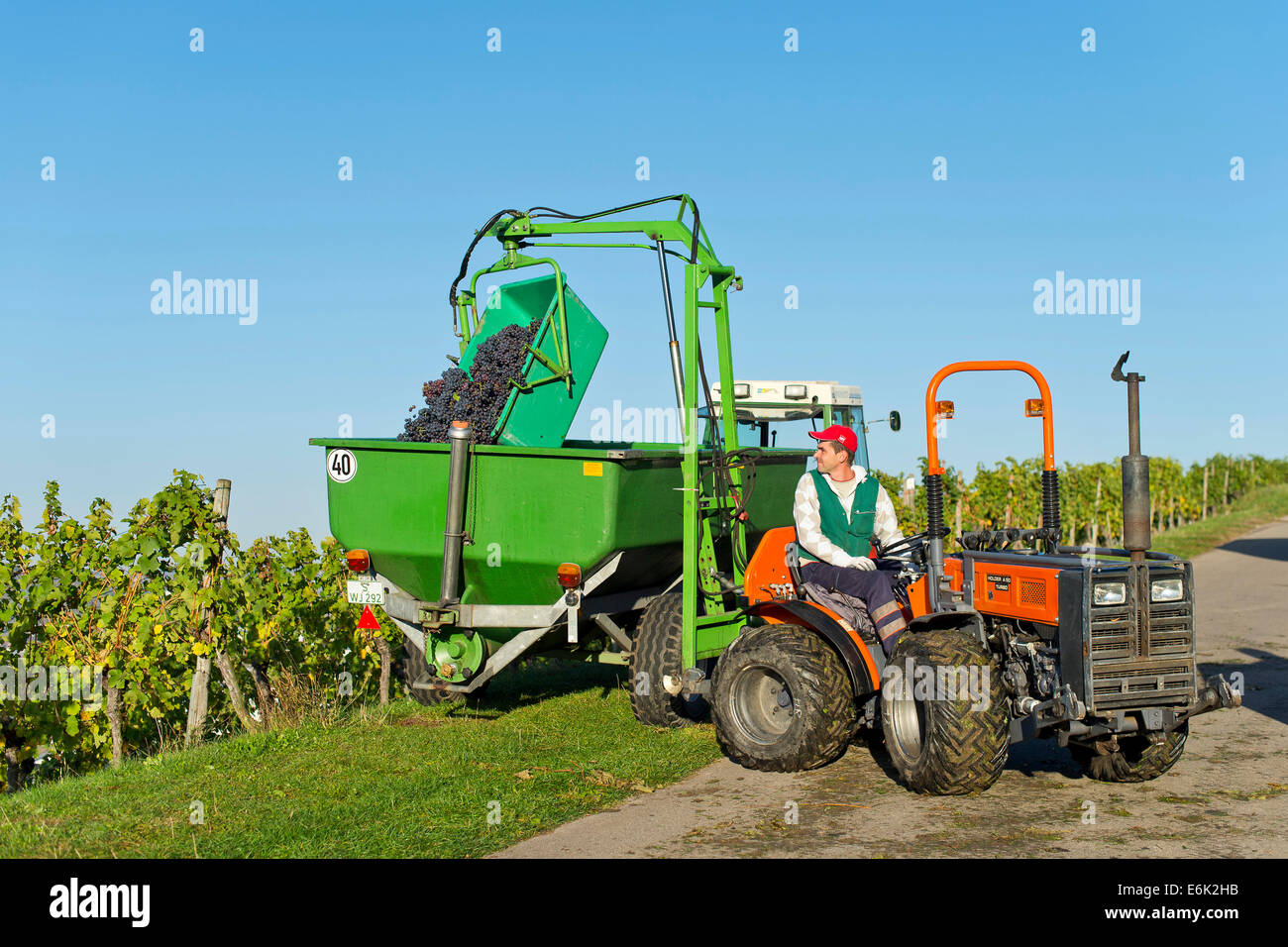 Grapes tractor hi-res stock photography and images - Alamy