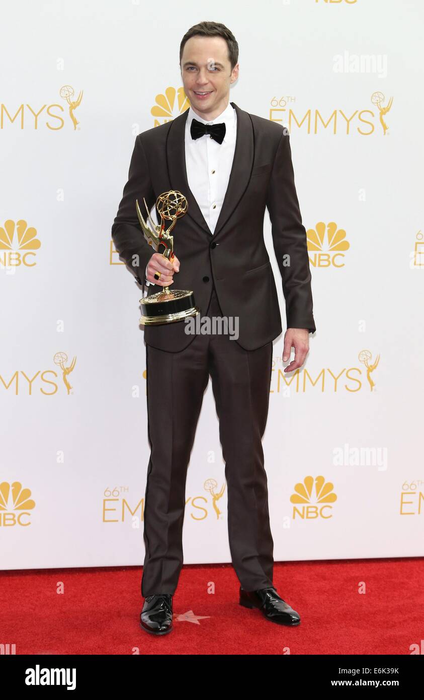 Los Angeles, CA, USA. 25th Aug, 2014. Jim Parsons, Outstanding Lead ...