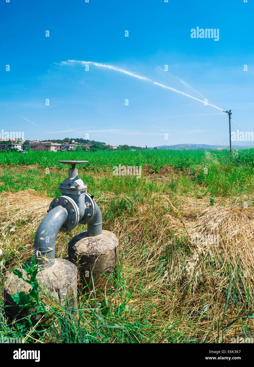 Agricultural irrigation systems. Sprinkler and tubes Stock Photo - Alamy