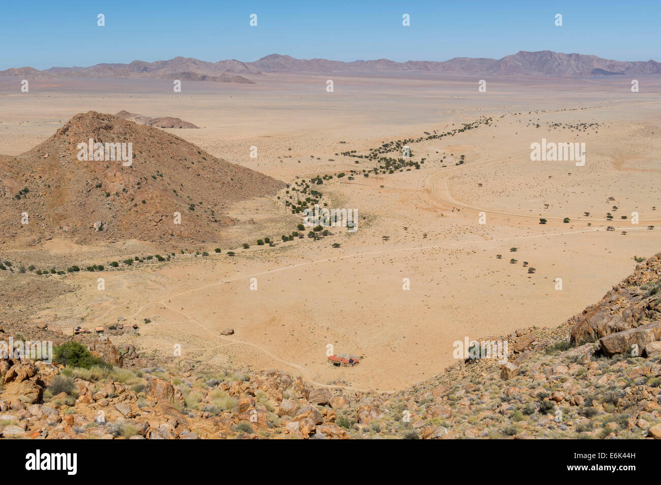 Trees growing in a riverbed that winds through the Namib Desert, Aus ...