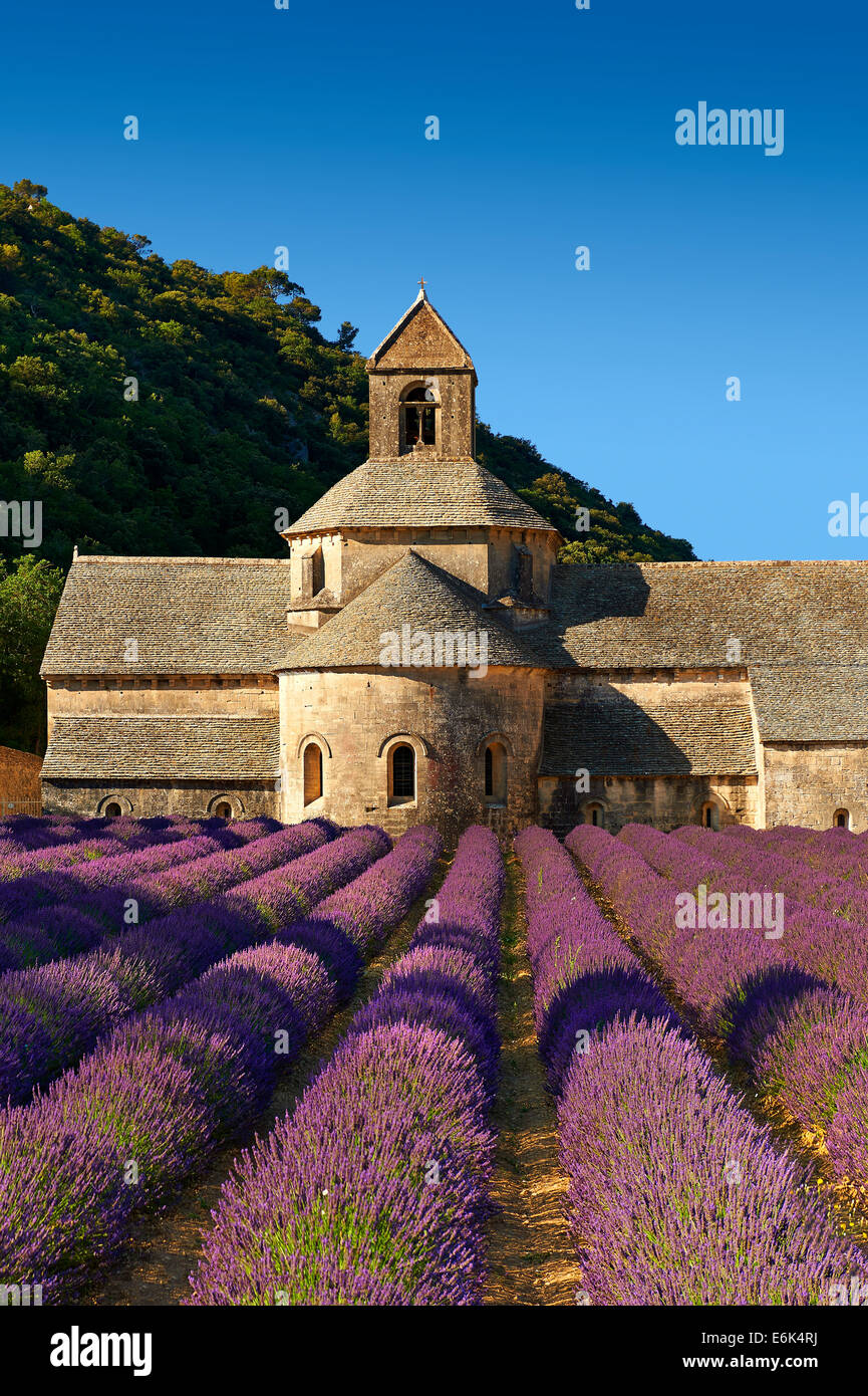 The Romanesque Cistercian Abbey of Notre Dame of Senanque, 1148, set ...