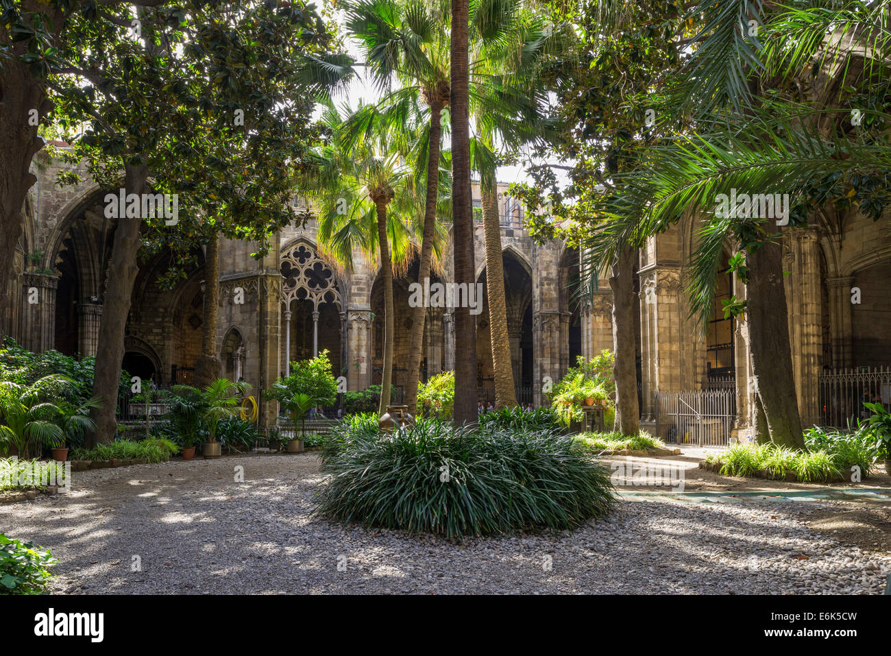 Courtyard of Barcelona Cathedral, El Barri Gòtic, Barcelona, Catalonia ...