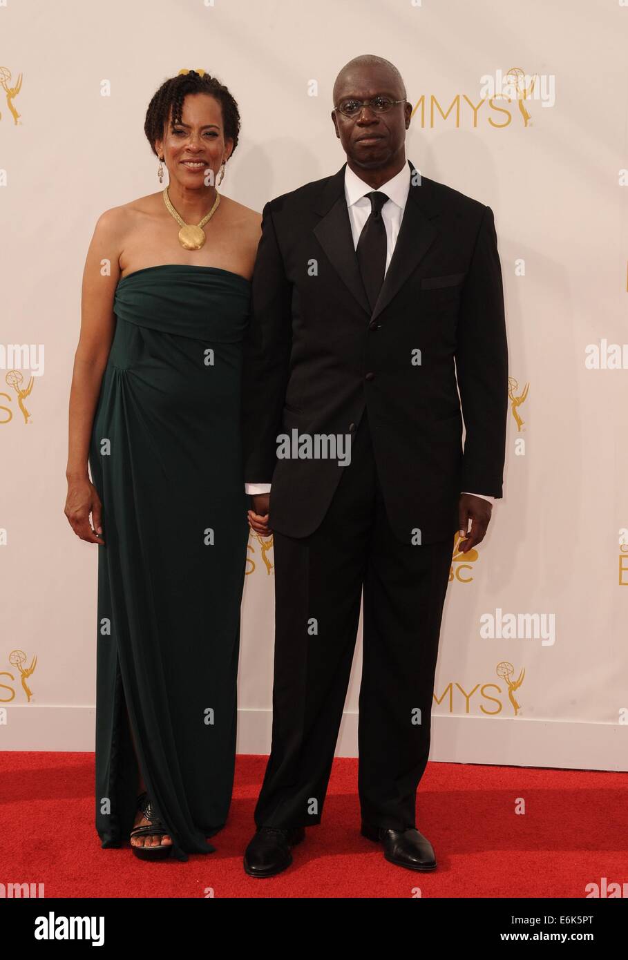 Los Angeles, CA, USA. 25th Aug, 2014. Andre Braugher at arrivals for ...