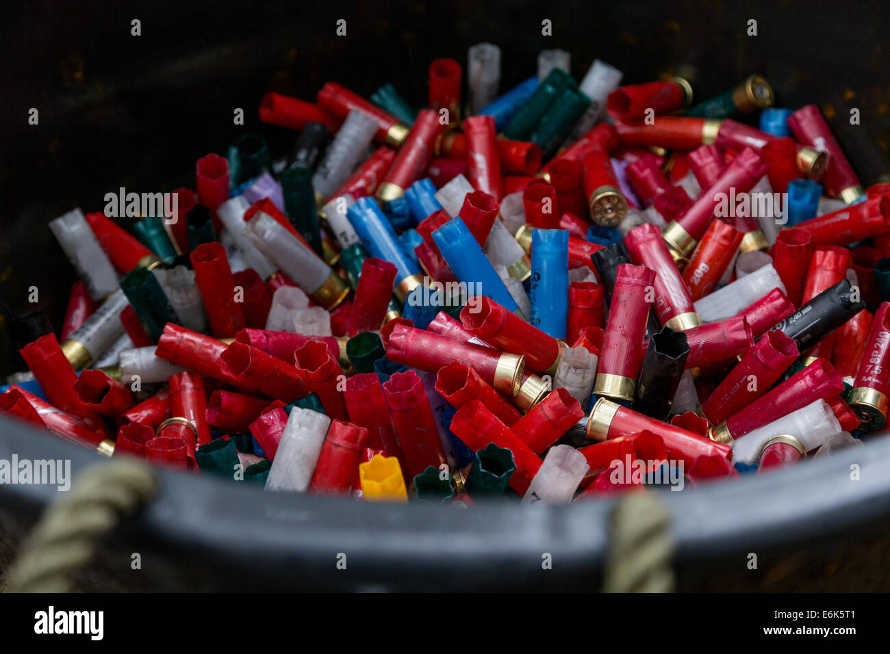 colored spent case from pro sporting training Stock Photo - Alamy