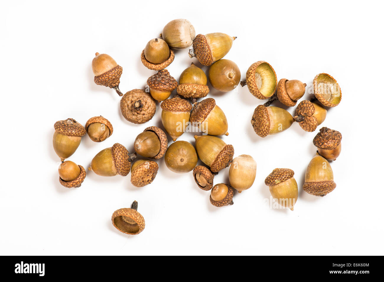 At the beginning of october Cut Out Stock Images & Pictures - Alamy