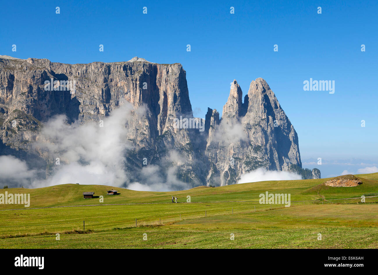 Alpine meadows with schlern hi-res stock photography and images - Alamy
