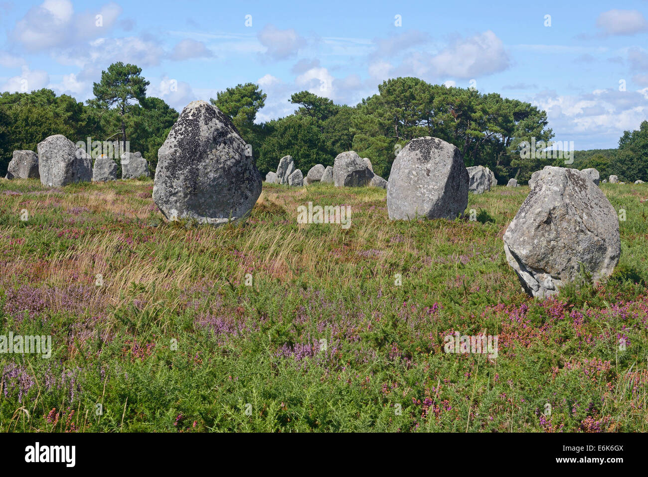 Carnac stones hi-res stock photography and images - Alamy