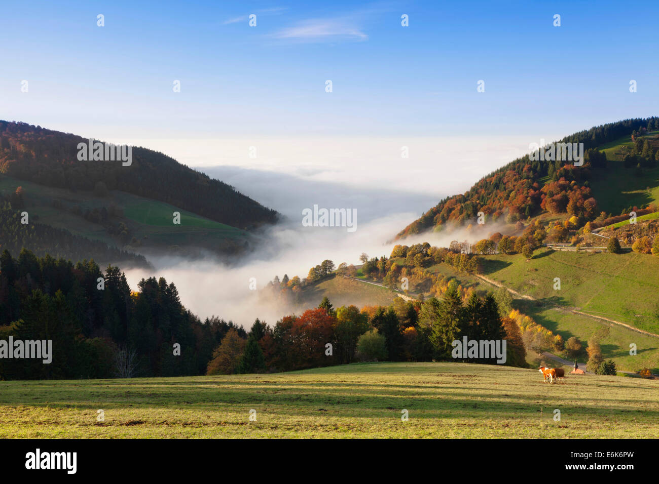 Rhine plain hi-res stock photography and images - Alamy