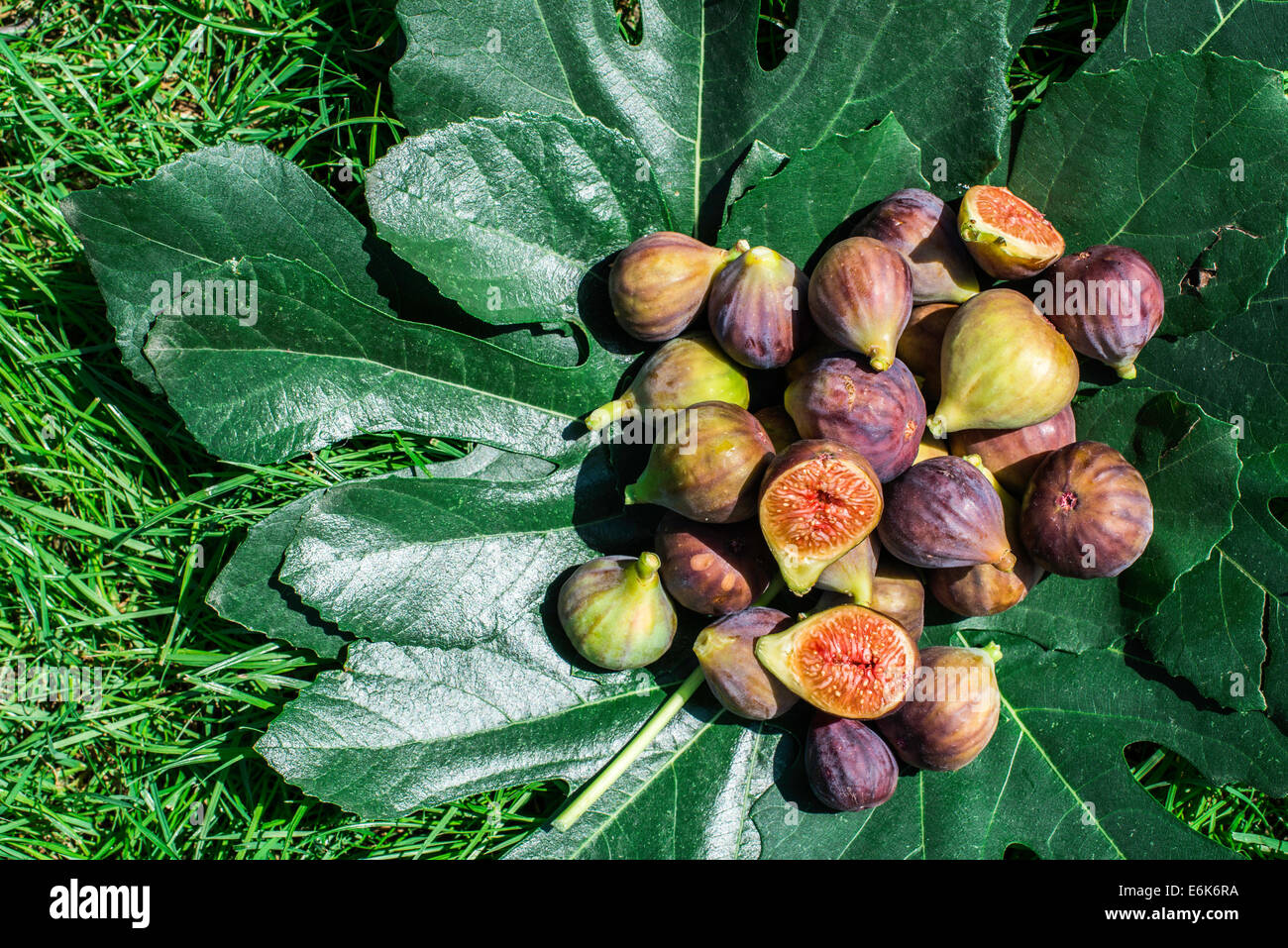 Figs on green leaf. Grass Stock Photo - Alamy