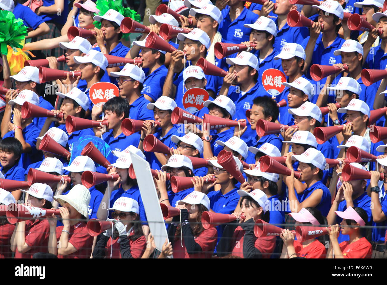 Baseball fans in stadium cheer hi-res stock photography and images - Alamy