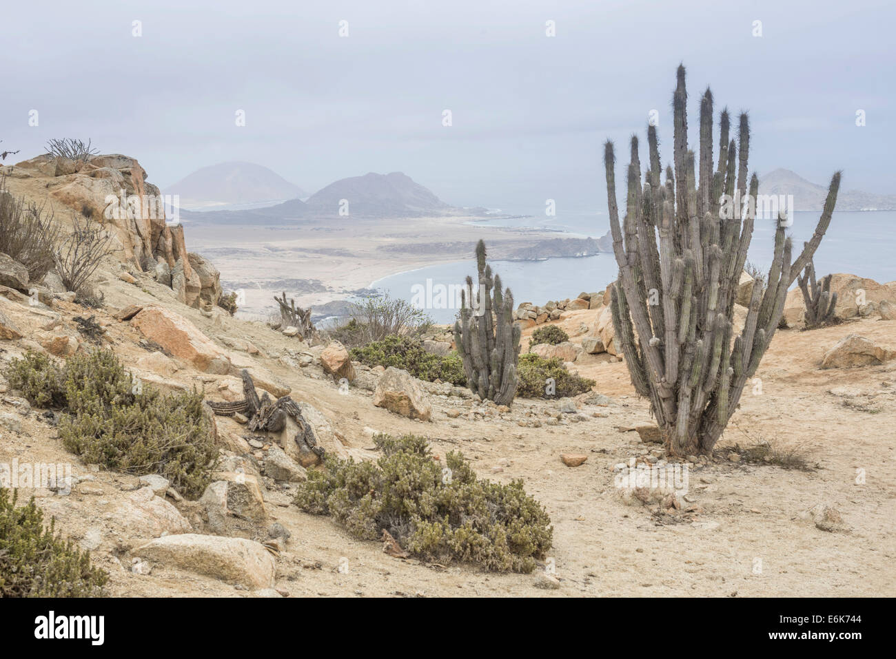 Pan de azúcar chile hi-res stock photography and images - Alamy