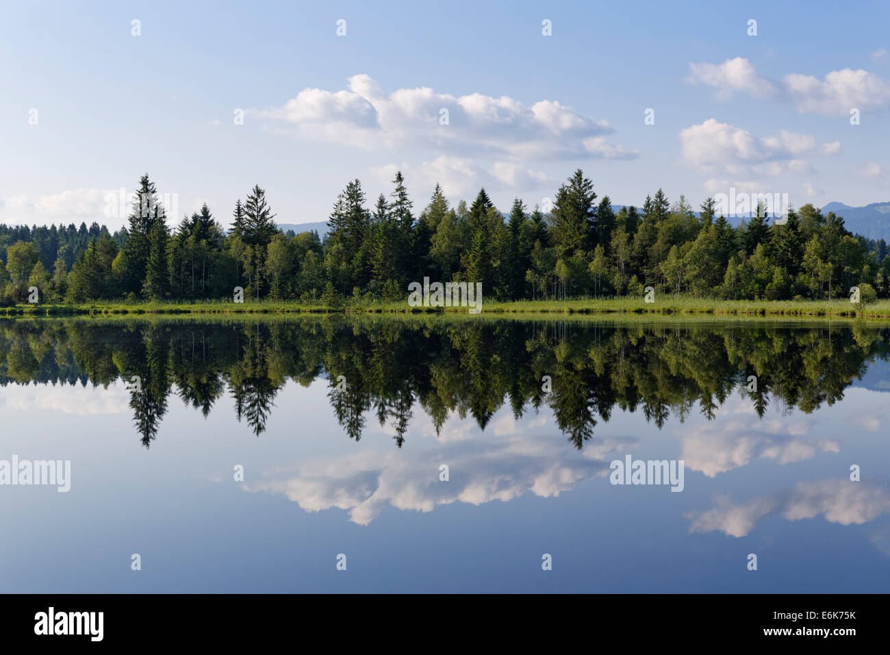 Kirchsee lake, Sachsenkam, Upper Bavaria, Bavaria, Germany Stock Photo ...