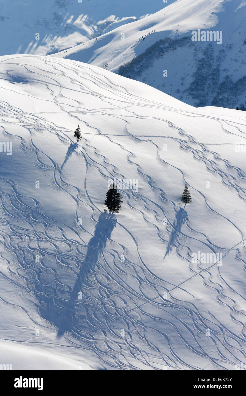 Ski tracks in deep snow, Unterdamülser Alpe, mountain pasture, Damüls ...