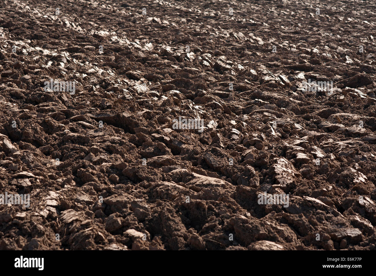 Ploughed field, Bavaria, Germany Stock Photo - Alamy